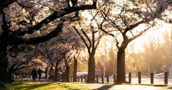 Firm History | Cambridge Partners